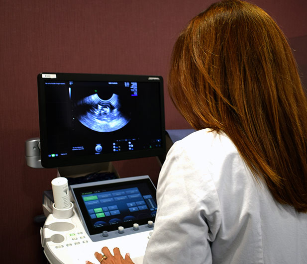 Nephrology | IMED Hospitales